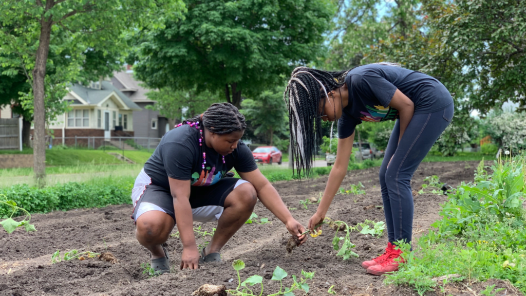 Twins x Thrivent At Bat For Impact | Minnesota Twins