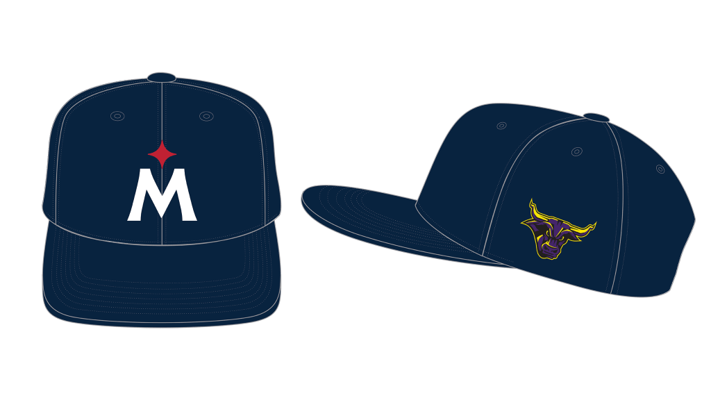 Minnesota State University, Mankato Night | Minnesota Twins