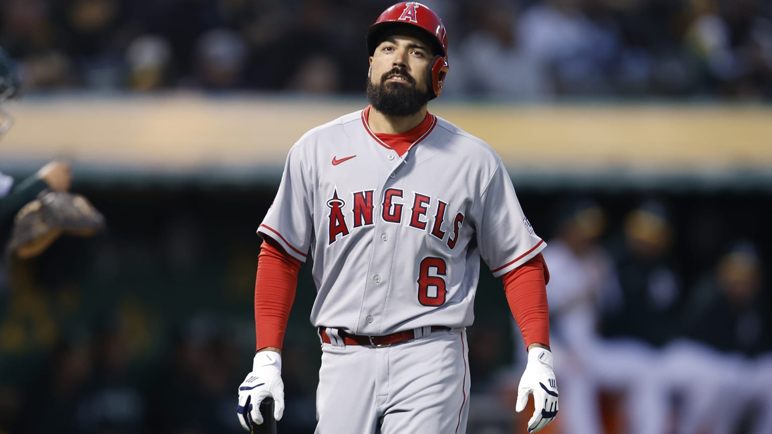 Anthony Rendon, Angels altercation with A's fan