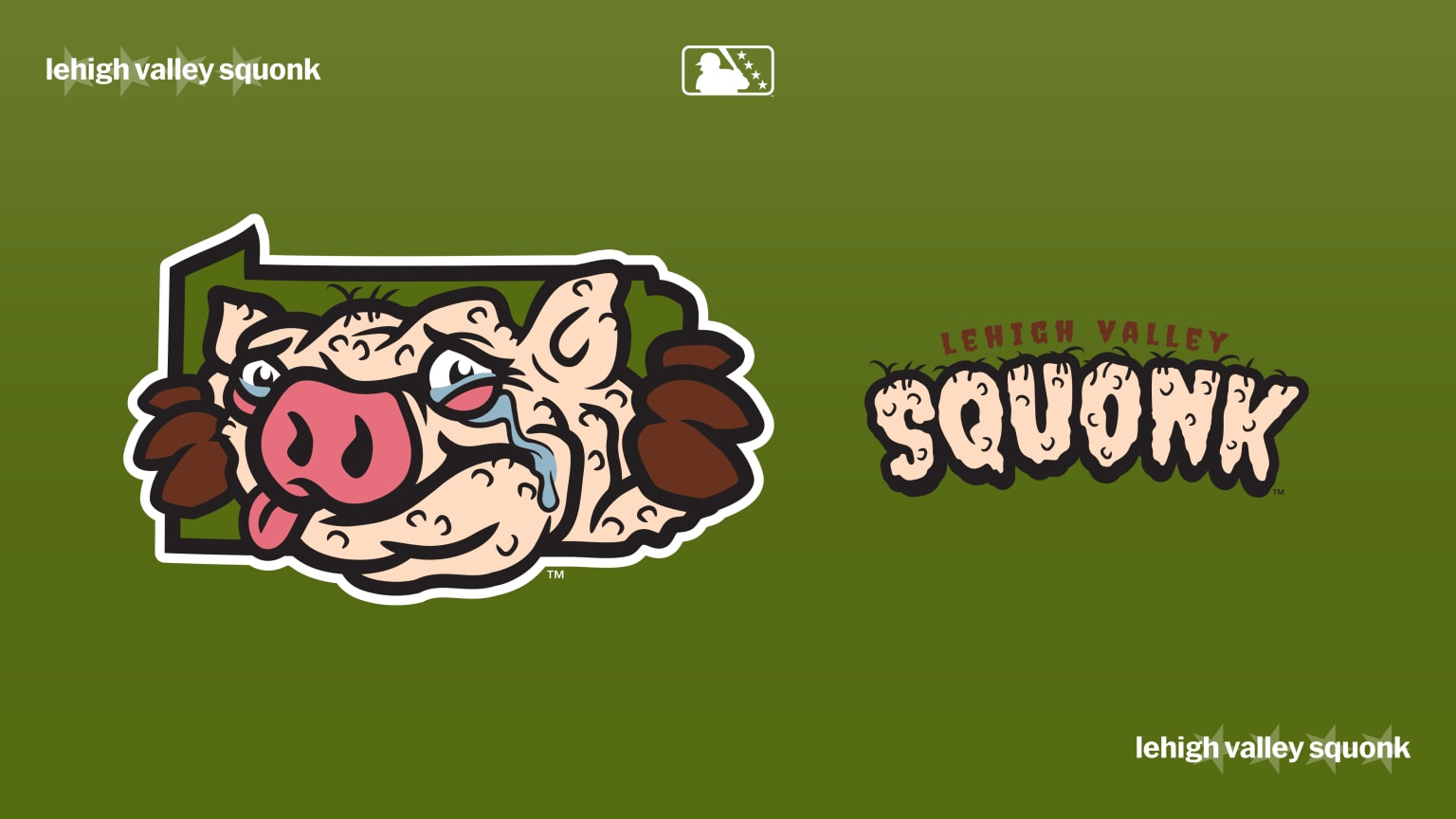 New Minor League Alternate Identities 2026