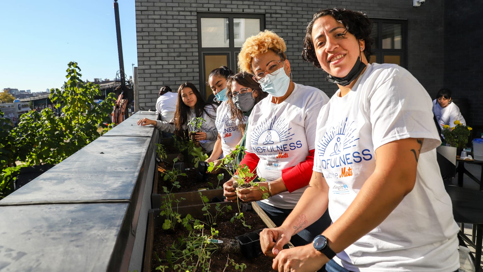 Mets Community Insider | New York Mets