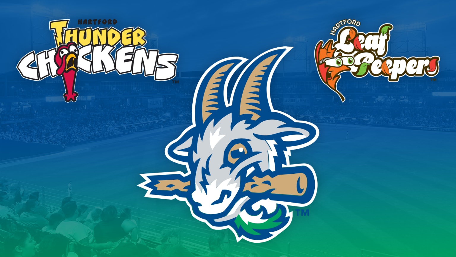 Hartford Yard Goats to become Thunder Chickens, Leaf Peepers from The ...