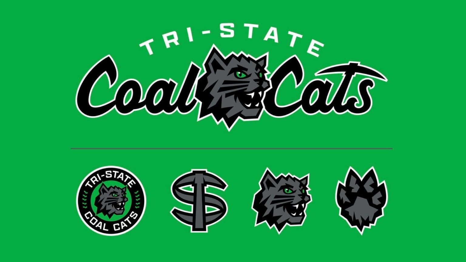 Huntington's Appalachian League team unveils Tri-State Coal Cats name ...
