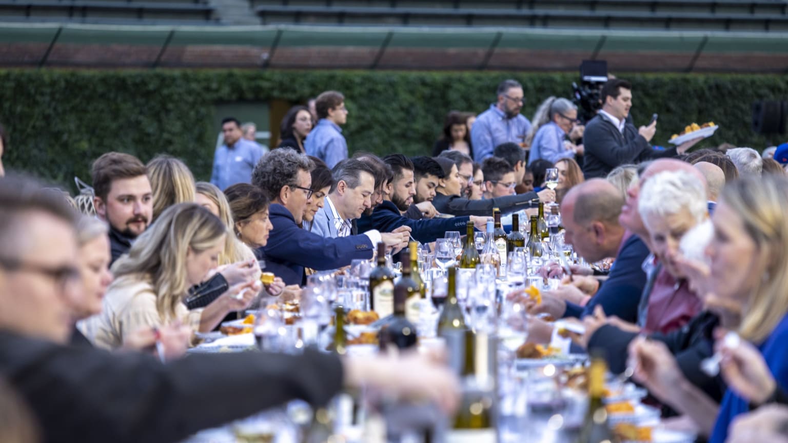 Stadium Chef Series | Minnesota Twins