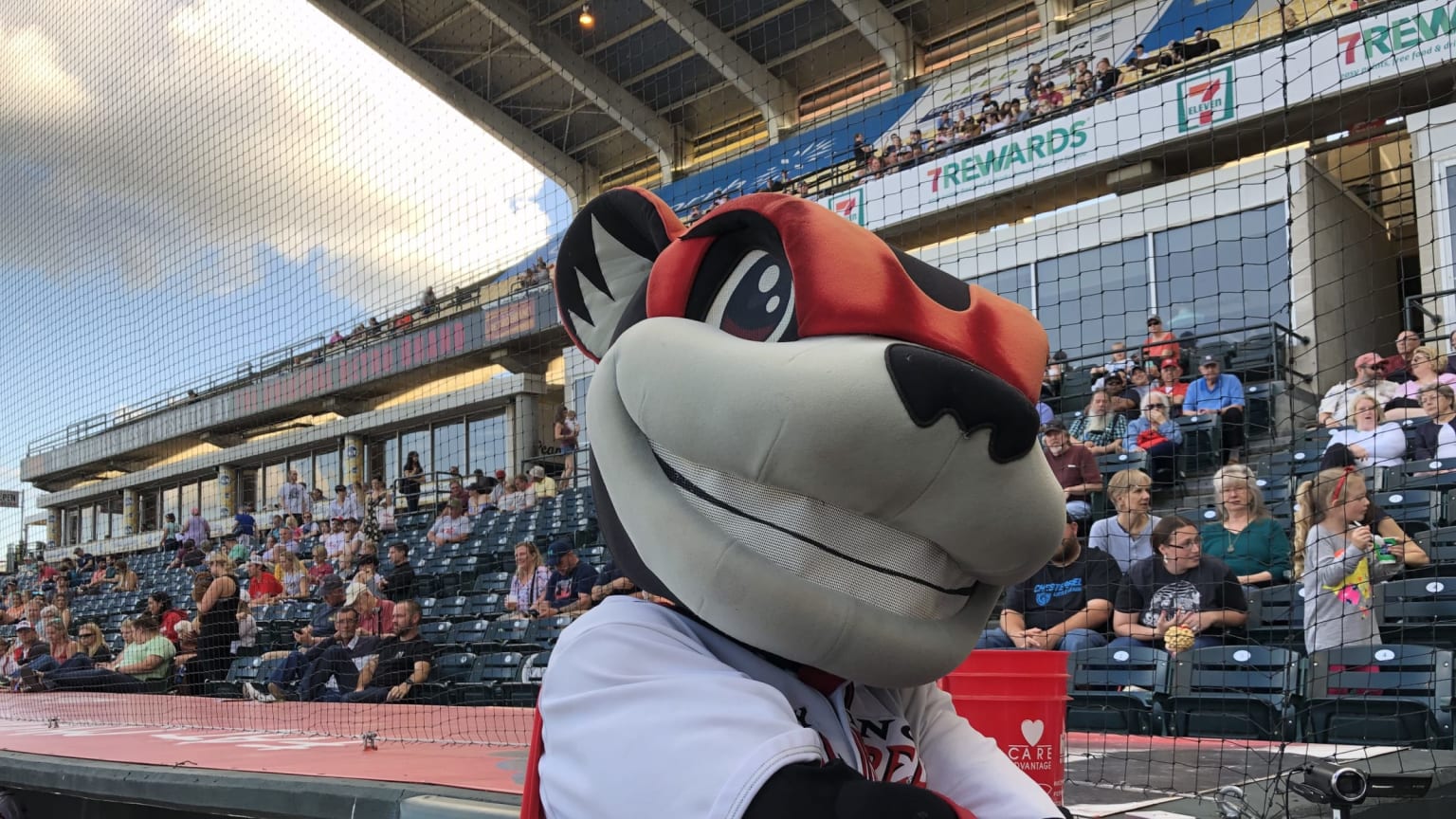 Weird Minor League mascots from every farm system