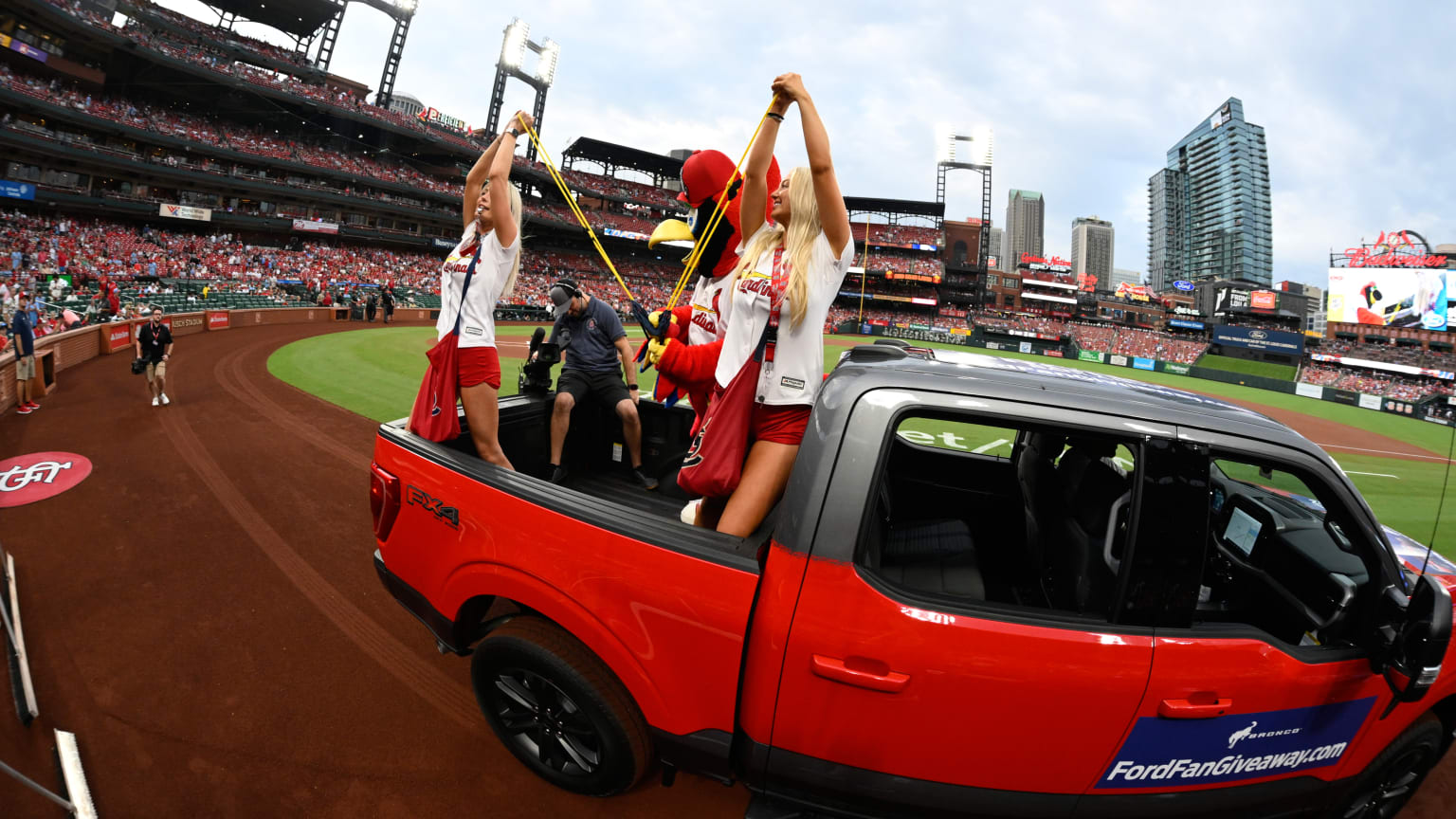 Team Fredbird | St. Louis Cardinals