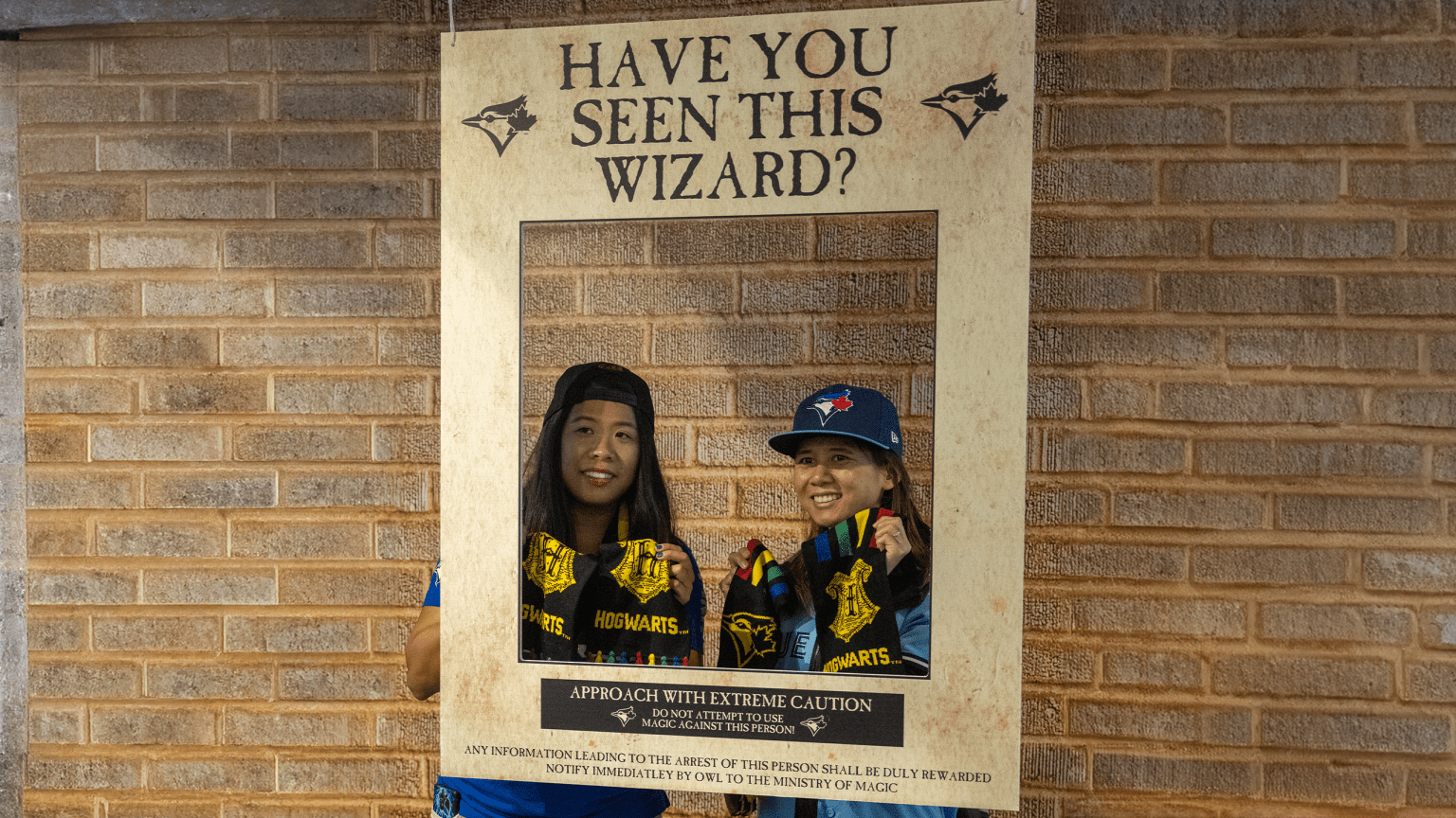 Harry Potter™ Night | Toronto Blue Jays