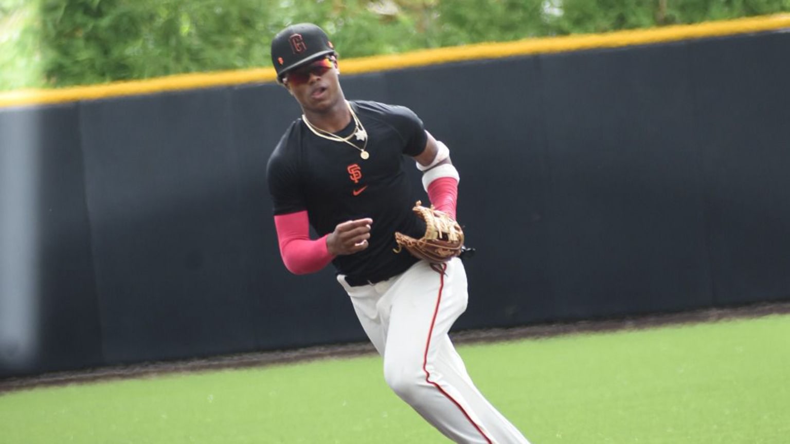 Josuar De Jesus Gonzalez signs with Giants