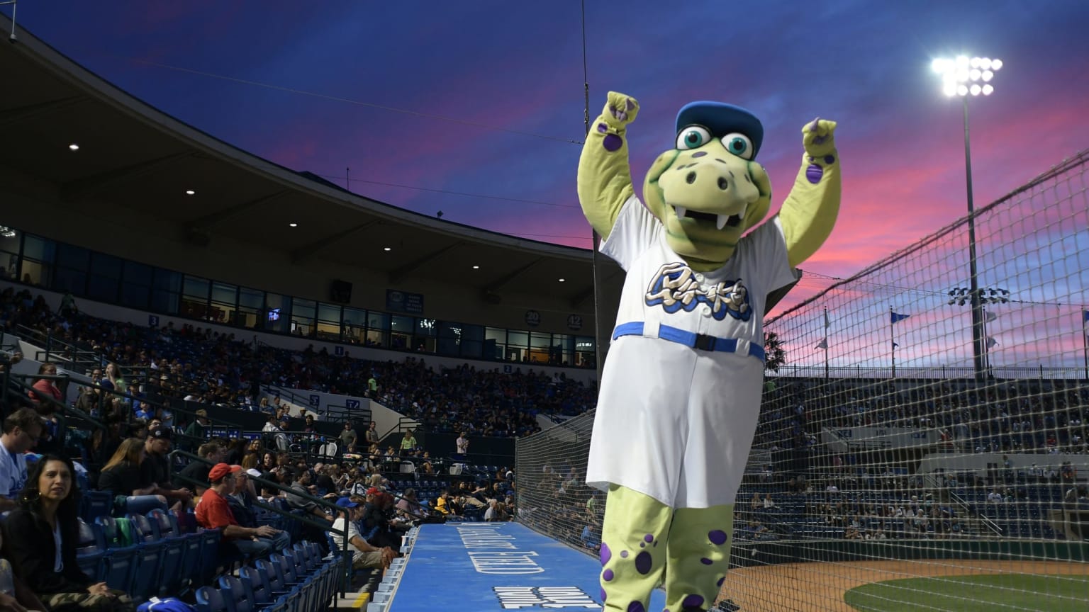 Weird Minor League mascots from every farm system