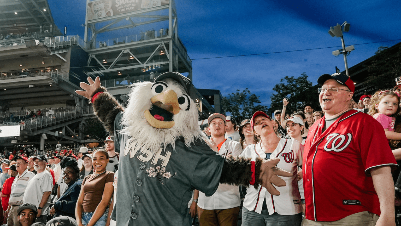 Fan Experiences | Washington Nationals