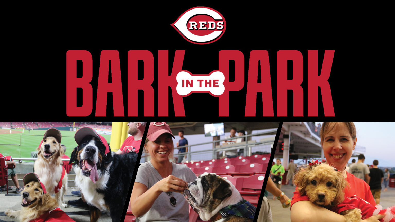 Bark in the Park | Events | Tickets | Cincinnati Reds