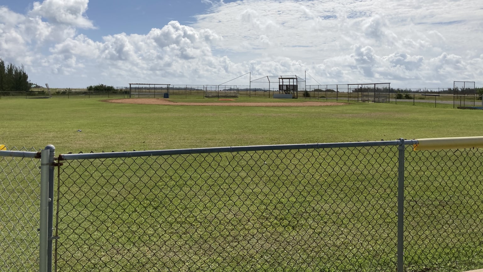 Adam Hall only pro baseball player from Bermuda