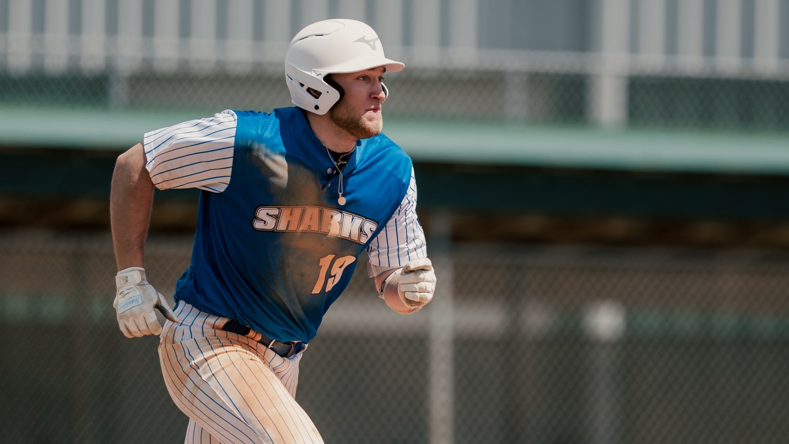 College Baseball Spring Invitational | Jackie Robinson Training Complex ...
