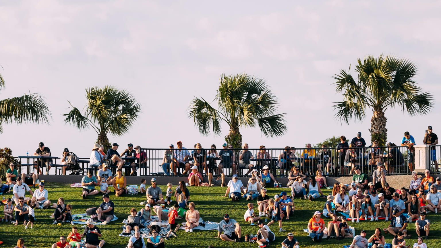 Spring Training | Detroit Tigers