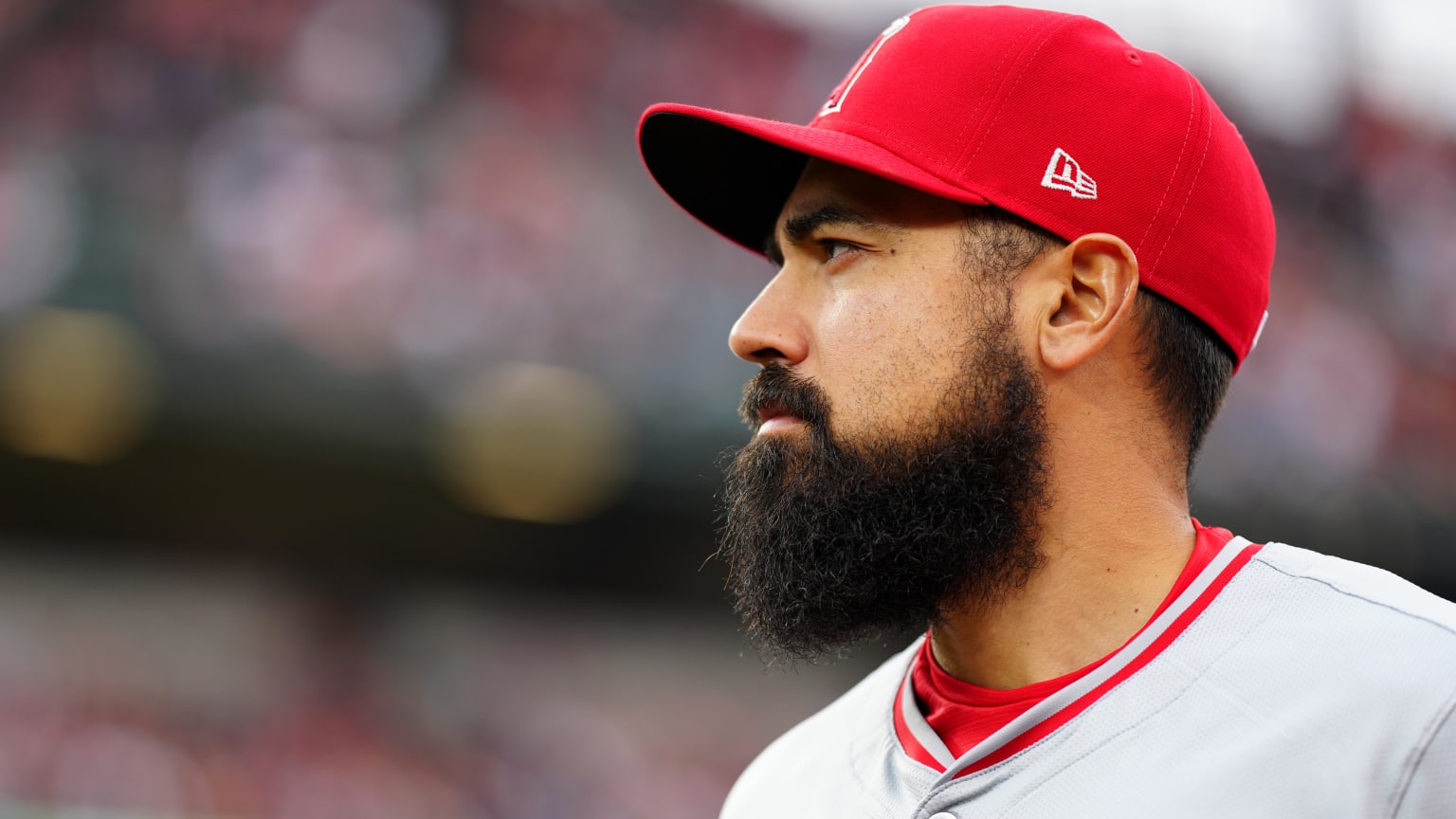Anthony Rendon won't play for Angels in 2026