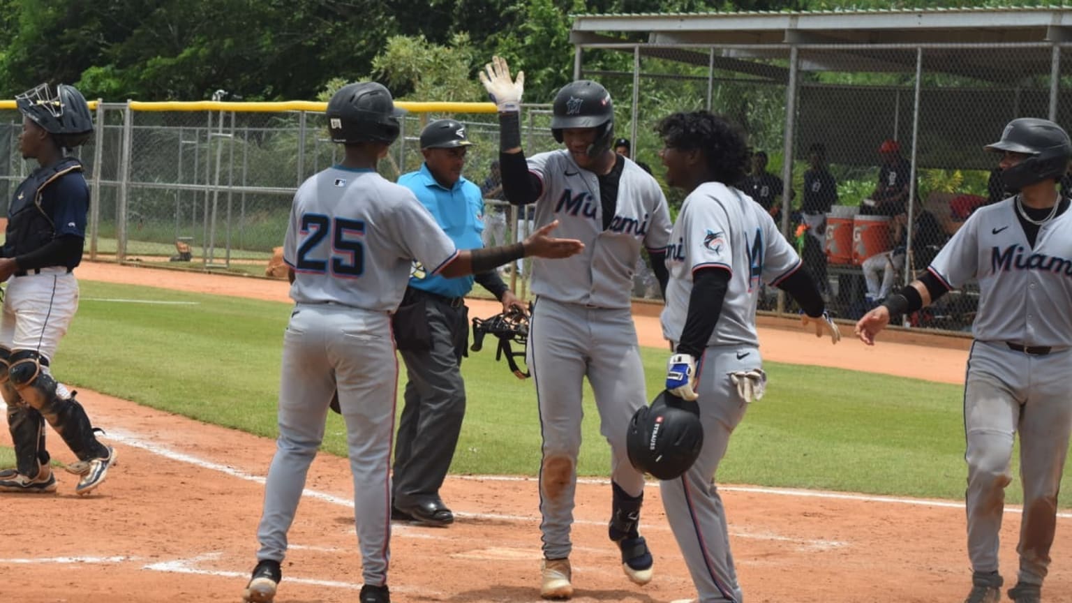 José Castro hits Dominican Summer League-best 16th homer