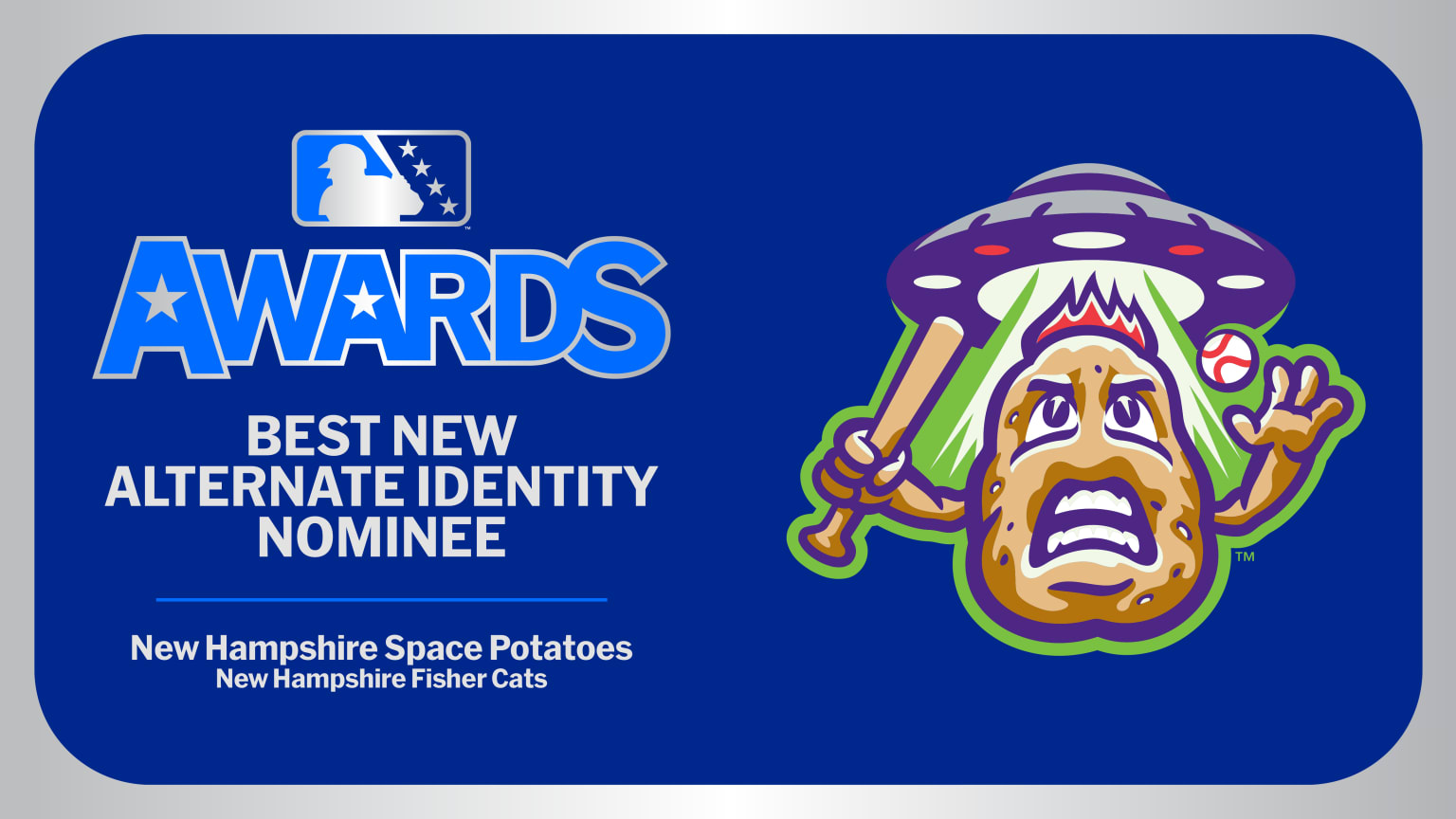 Best alternate identity 2025 MiLB Awards