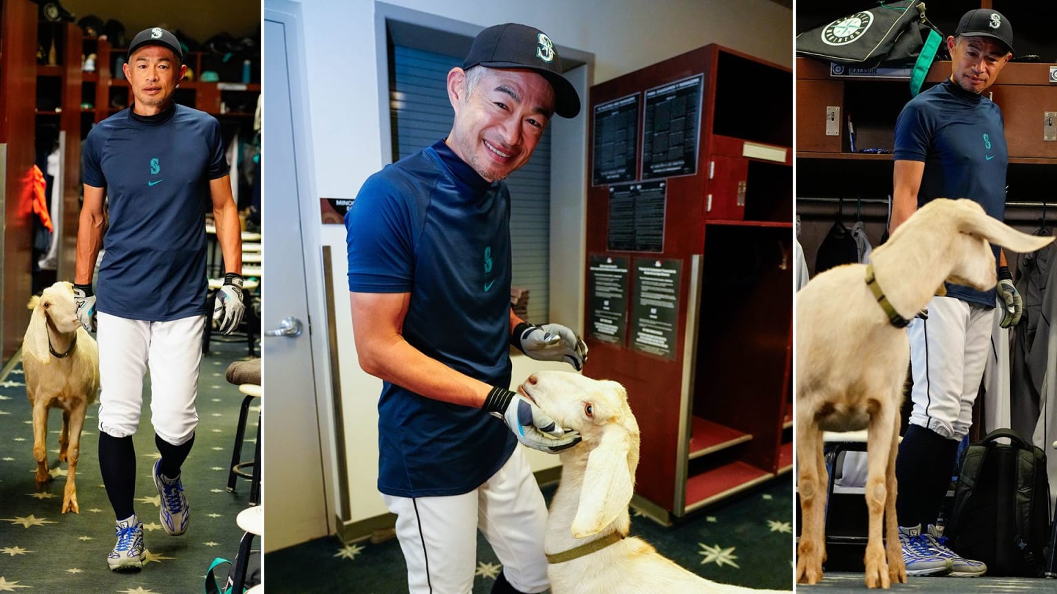 Mariners Commercials returns with Ichiro and real live goats