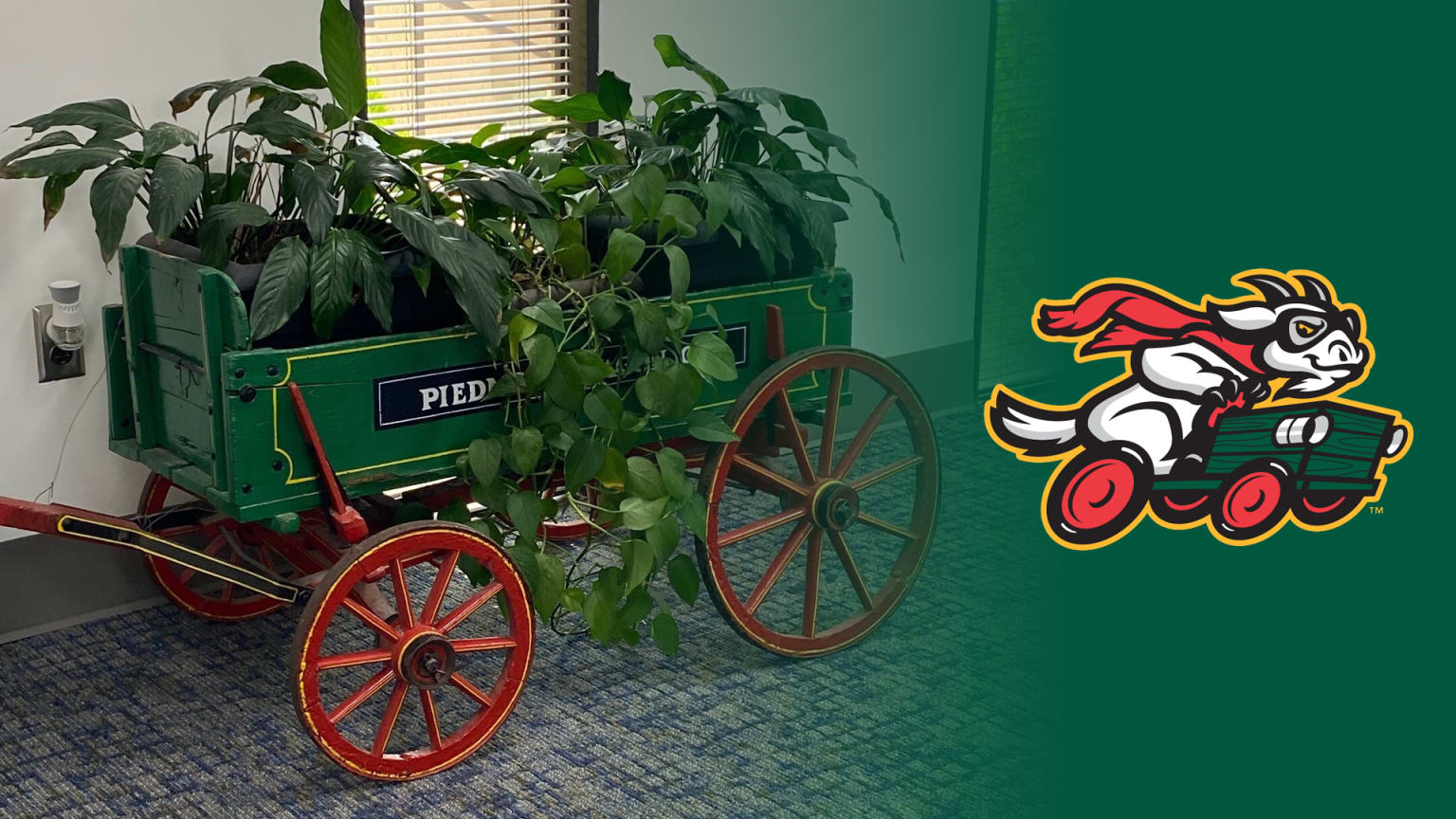 Rangers Minor League team unveils Goat-Karts identity