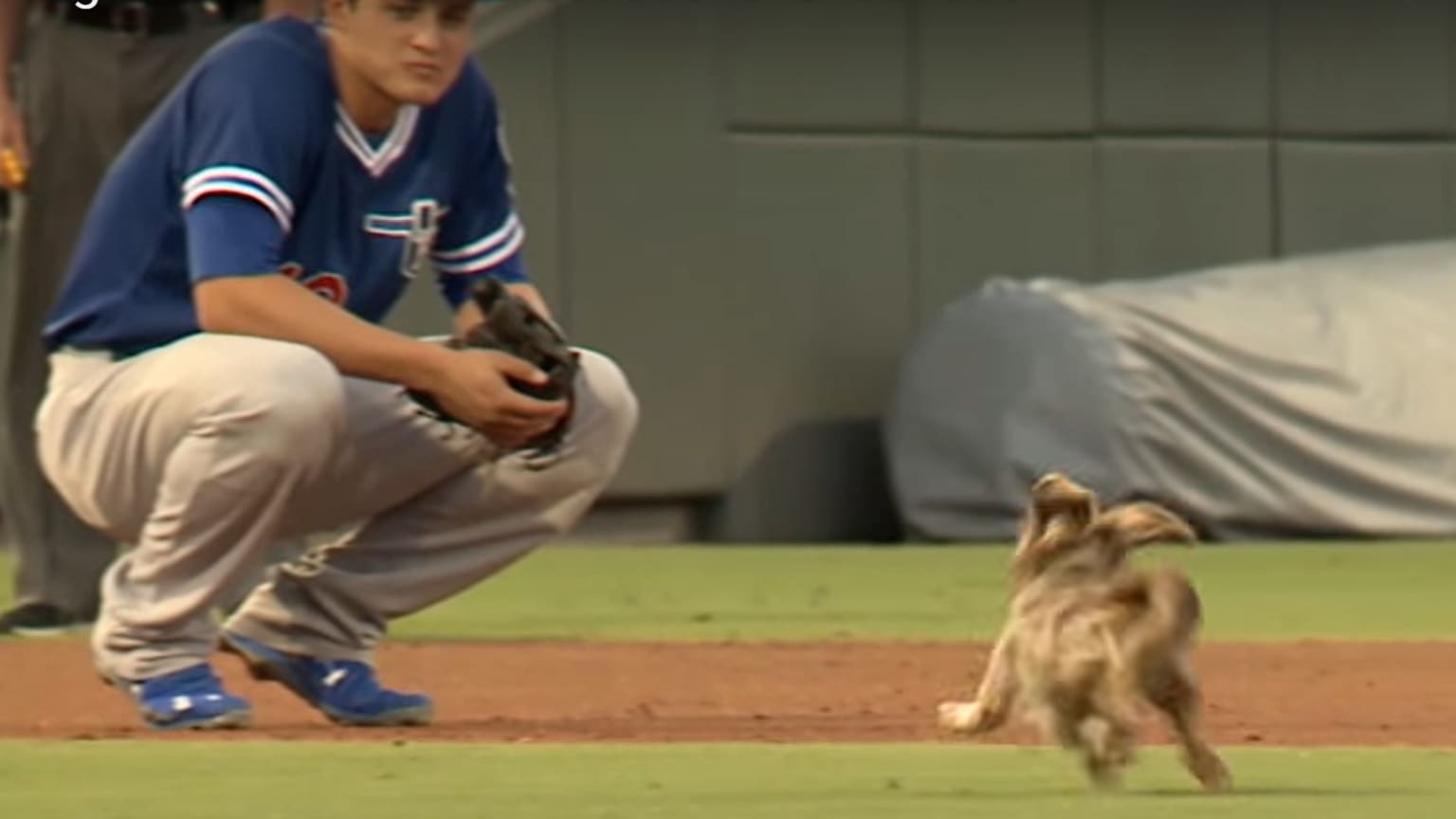 Strange delays in Minor League Baseball