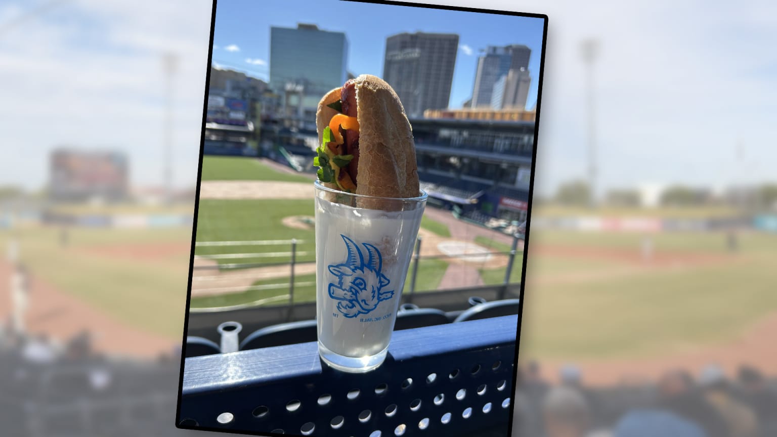 Hartford Yard Goats Float Your Goat hot dog hoax