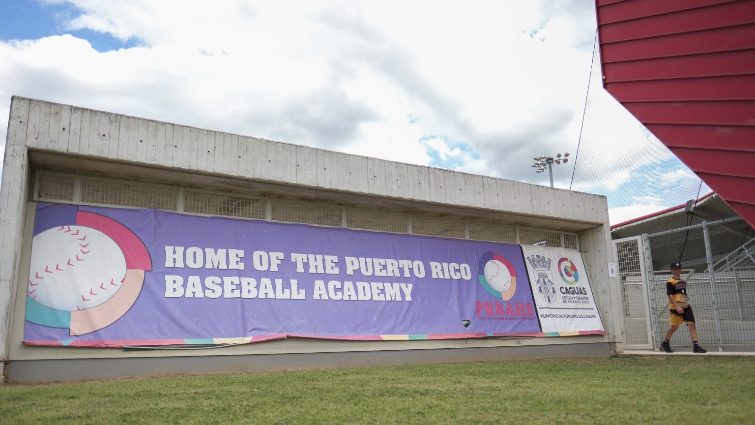 Puerto Rico | MLB.com