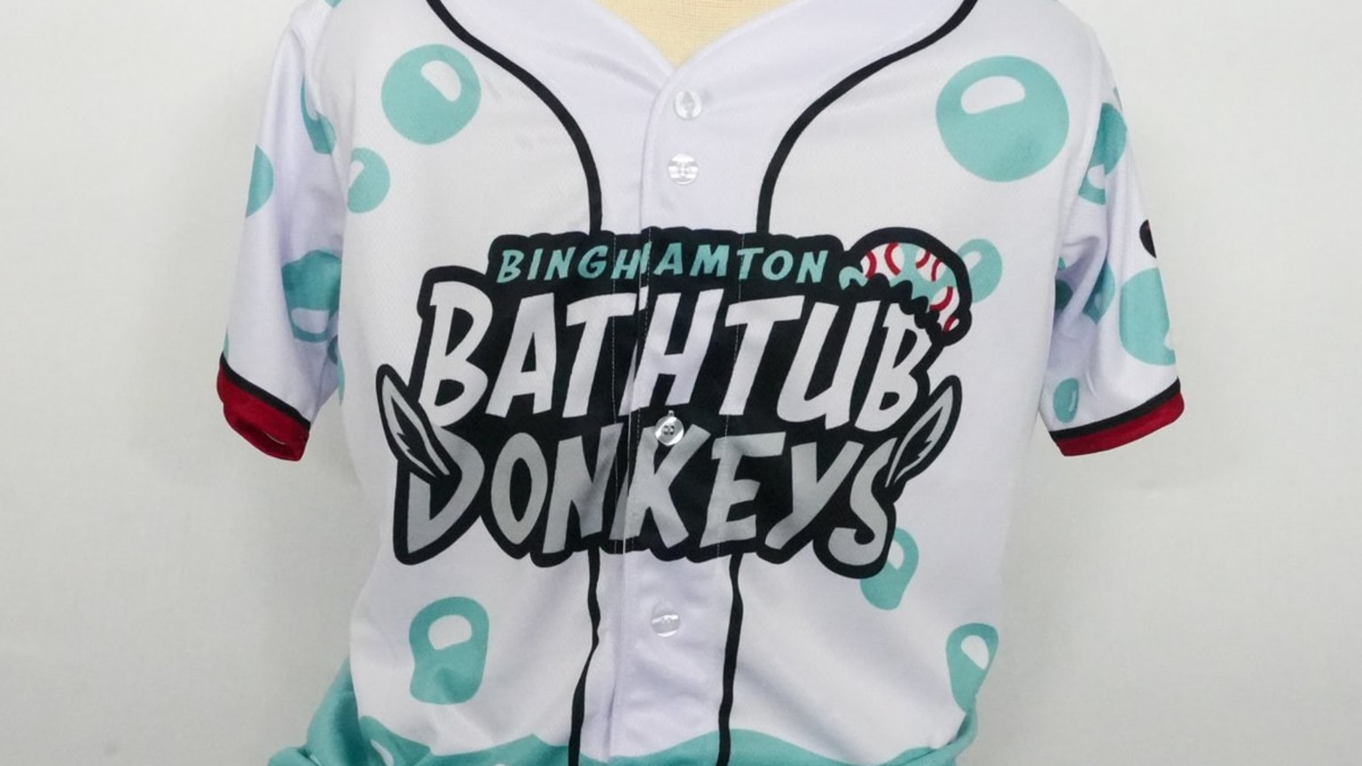 Mets' Minor League team plays as Binghamton Bathtub Donkeys the Baseball Traveler