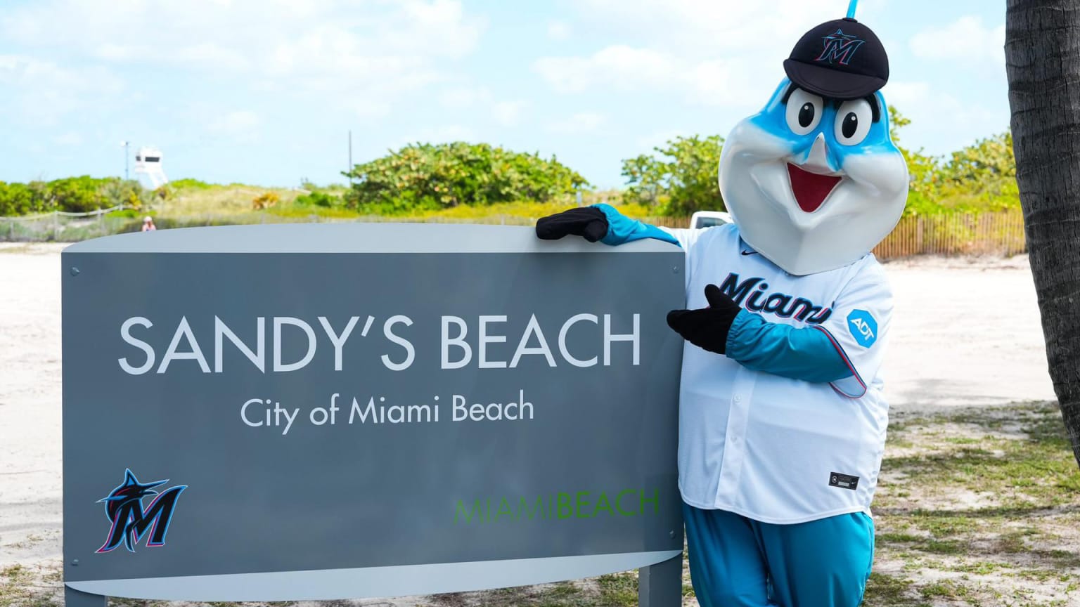 Sandy Alcantara has Miami beach named after him