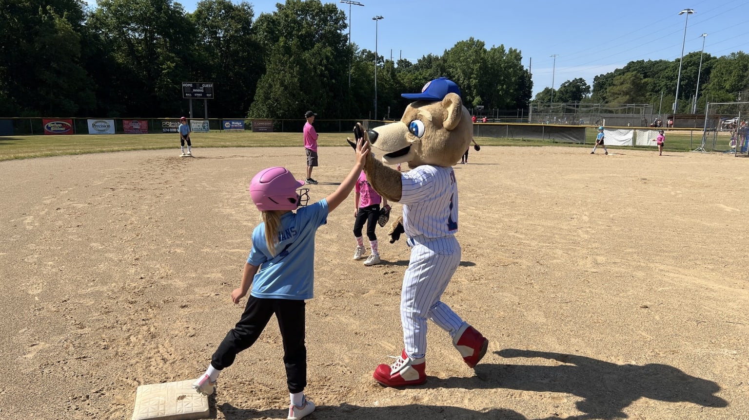 Minor League Baseball clubs PLAY BALL Weekend