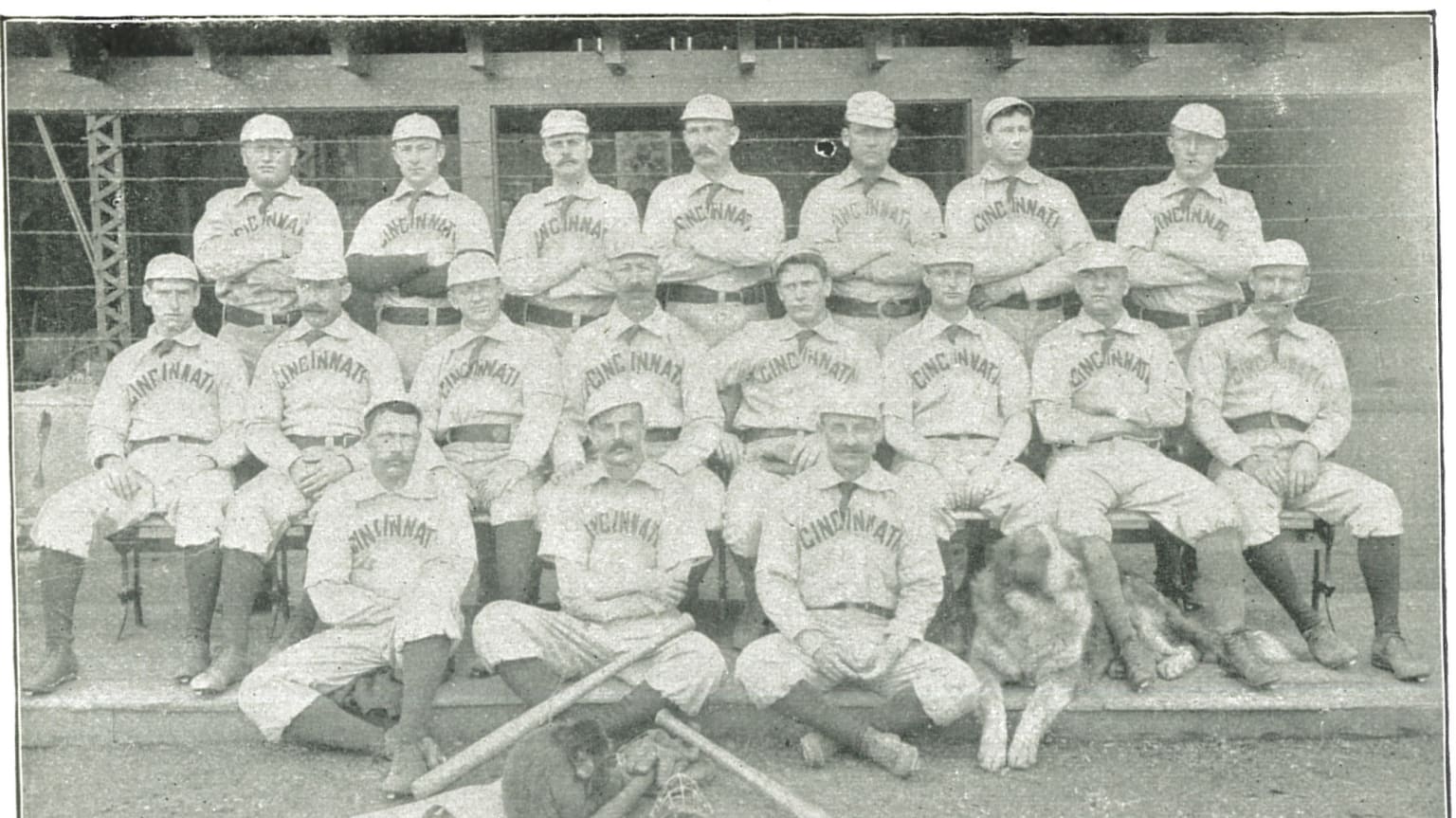 History of Cincinnati Reds mascots