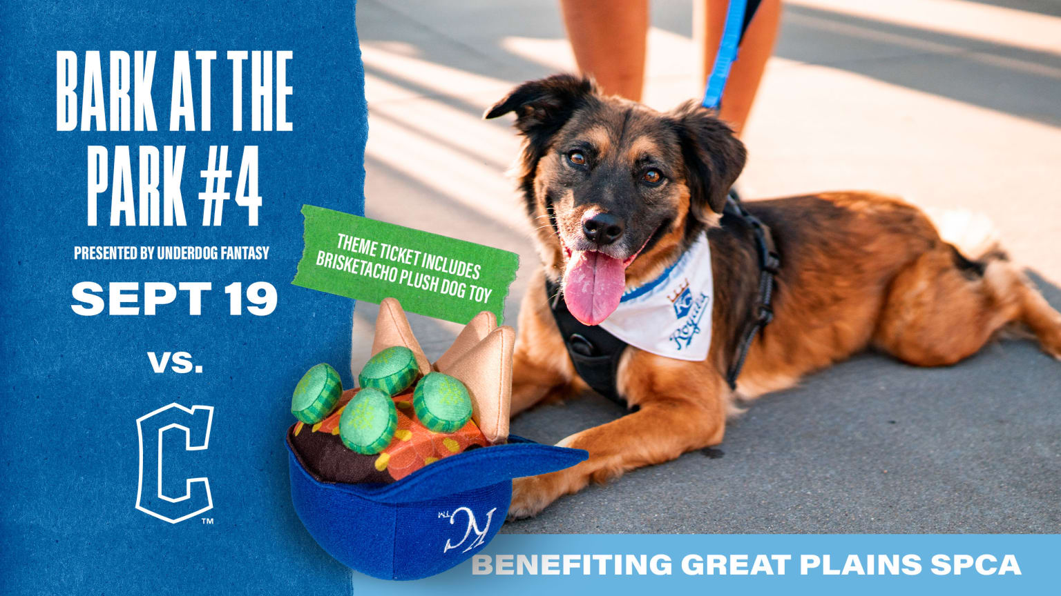 Bark at the Park | Kansas City Royals