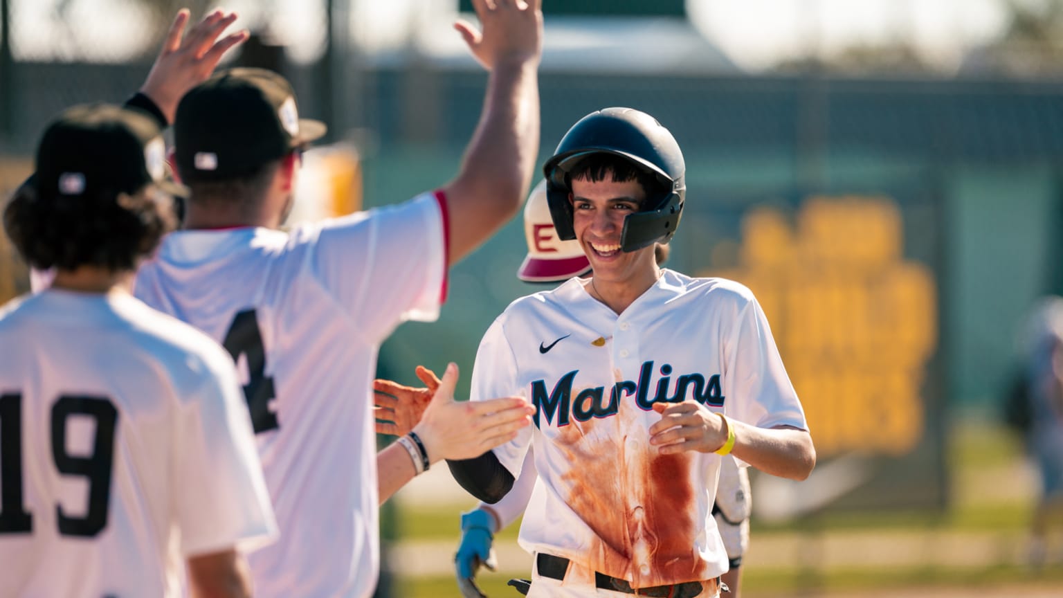 Baseball at Jackie Robinson Training Complex | MLB.com