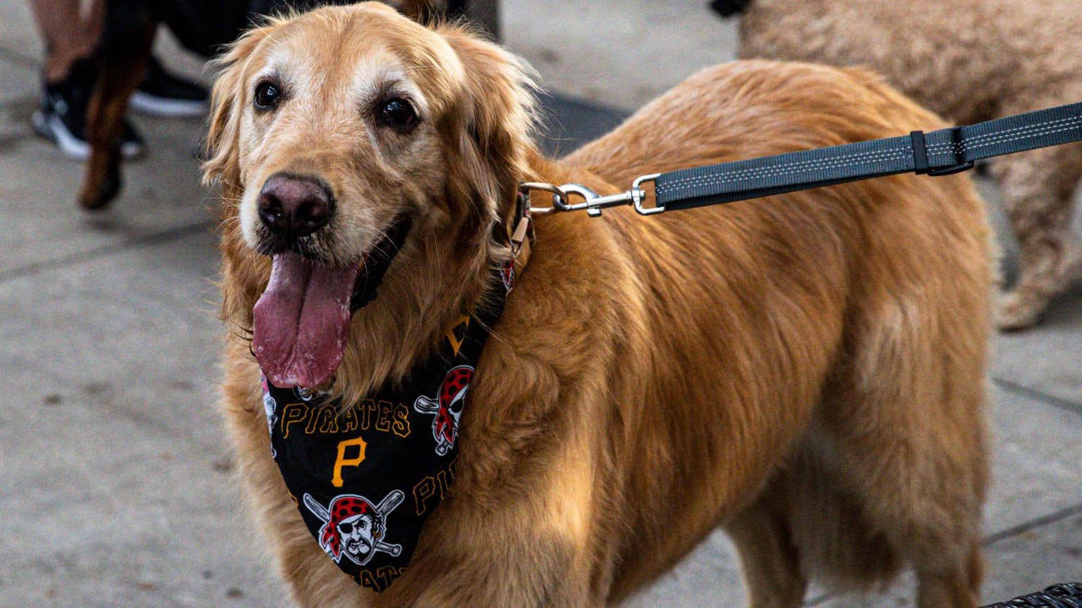 2025 Pirates Promotions | Pittsburgh Pirates