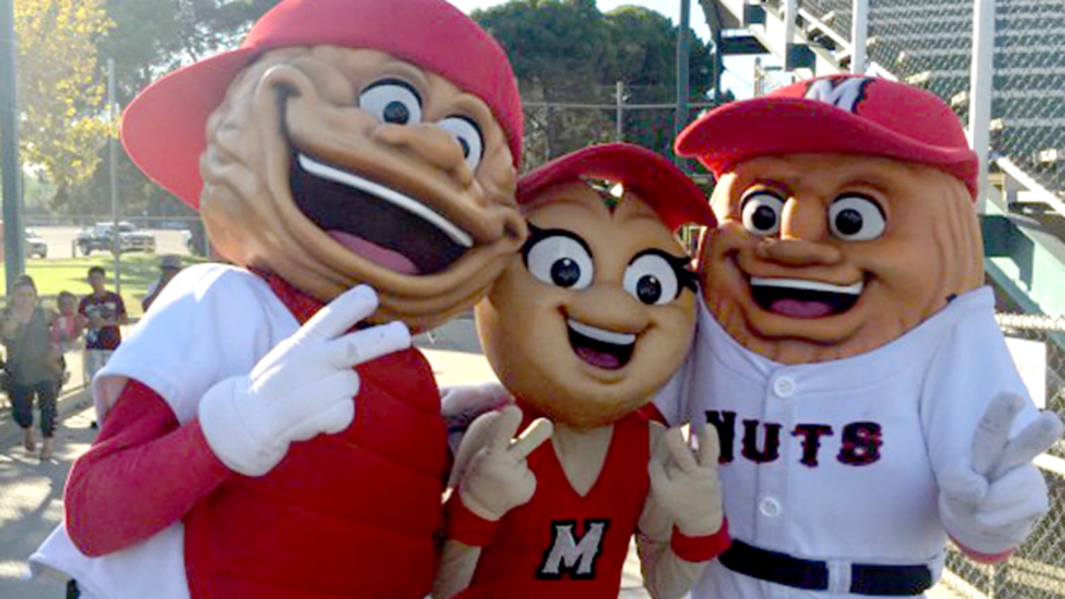 Best mascots in Minor League Baseball