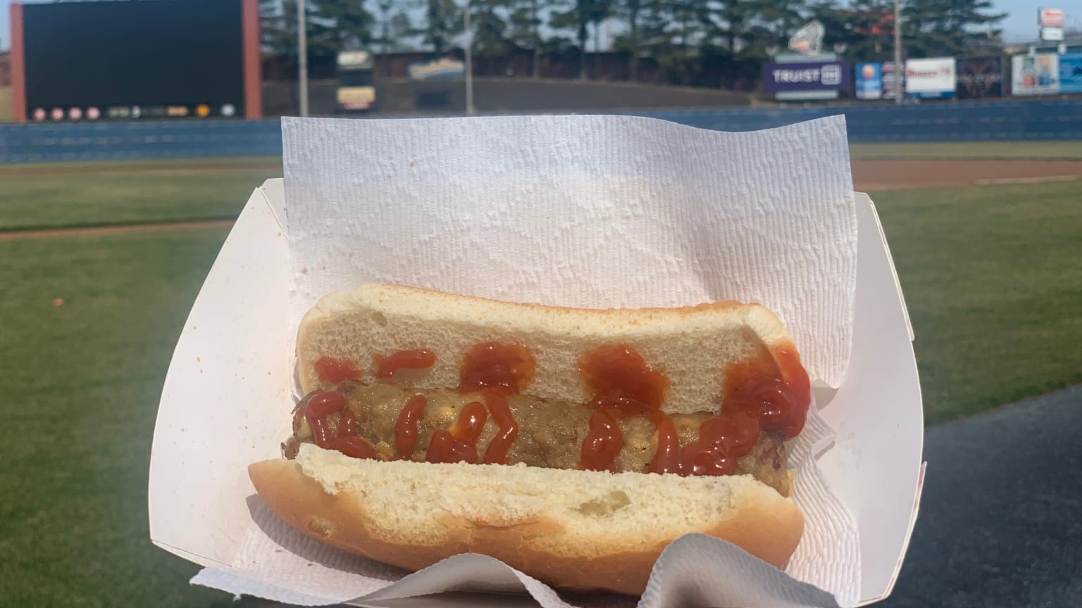 Minor League Baseball ballpark guides