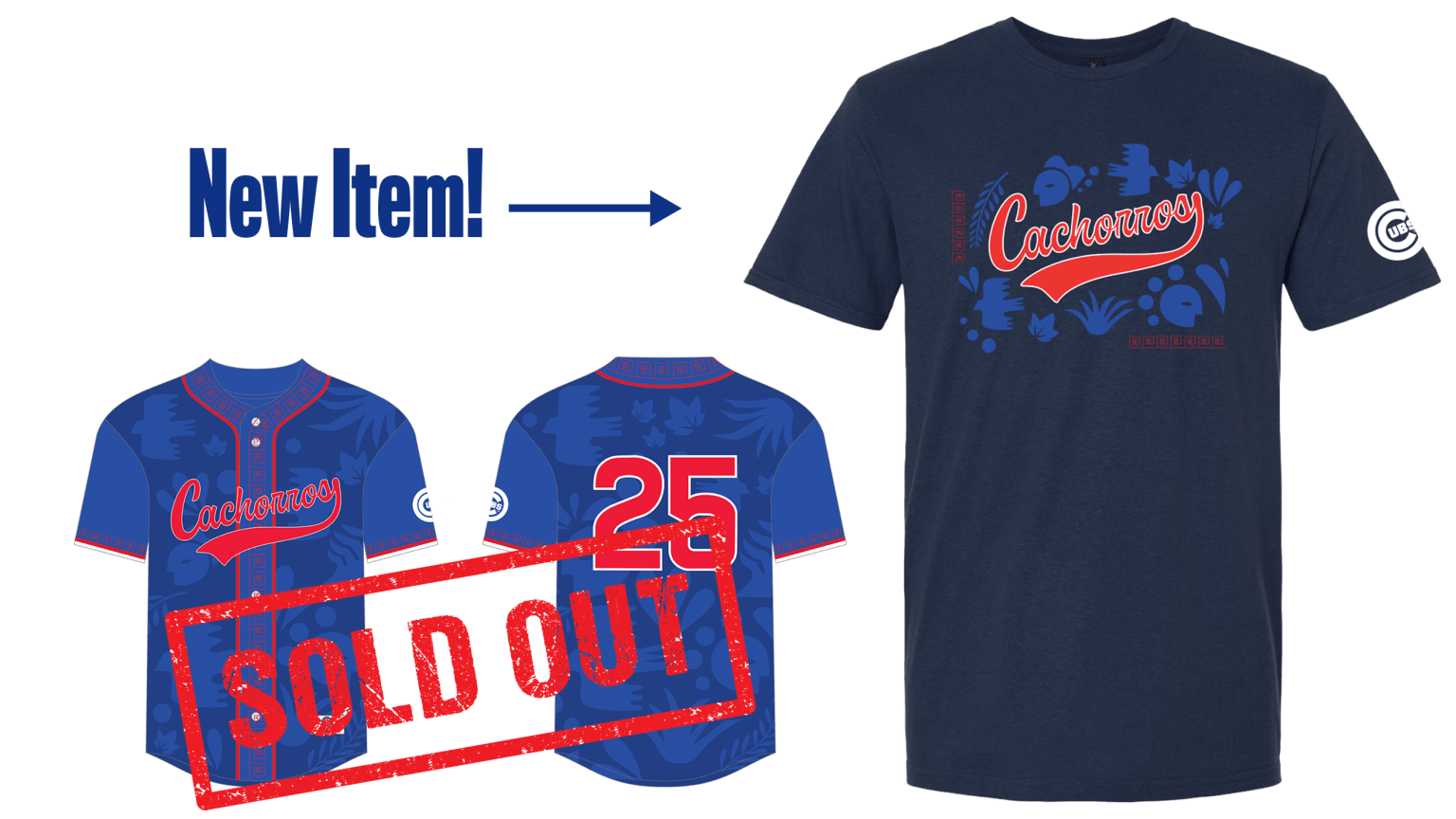 Hispanic and Latino Heritage Celebration | Chicago Cubs