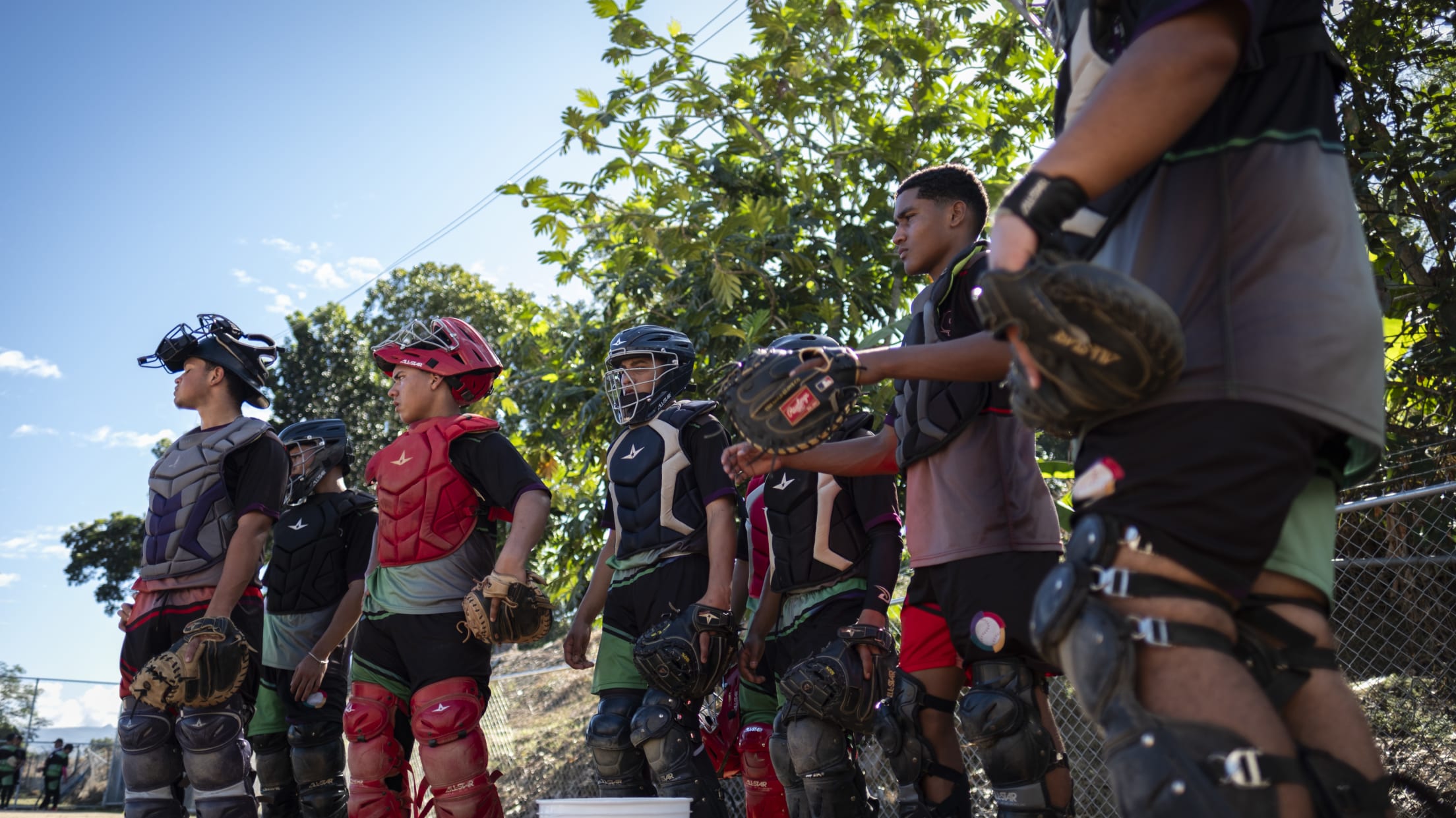 Puerto Rico | MLB.com