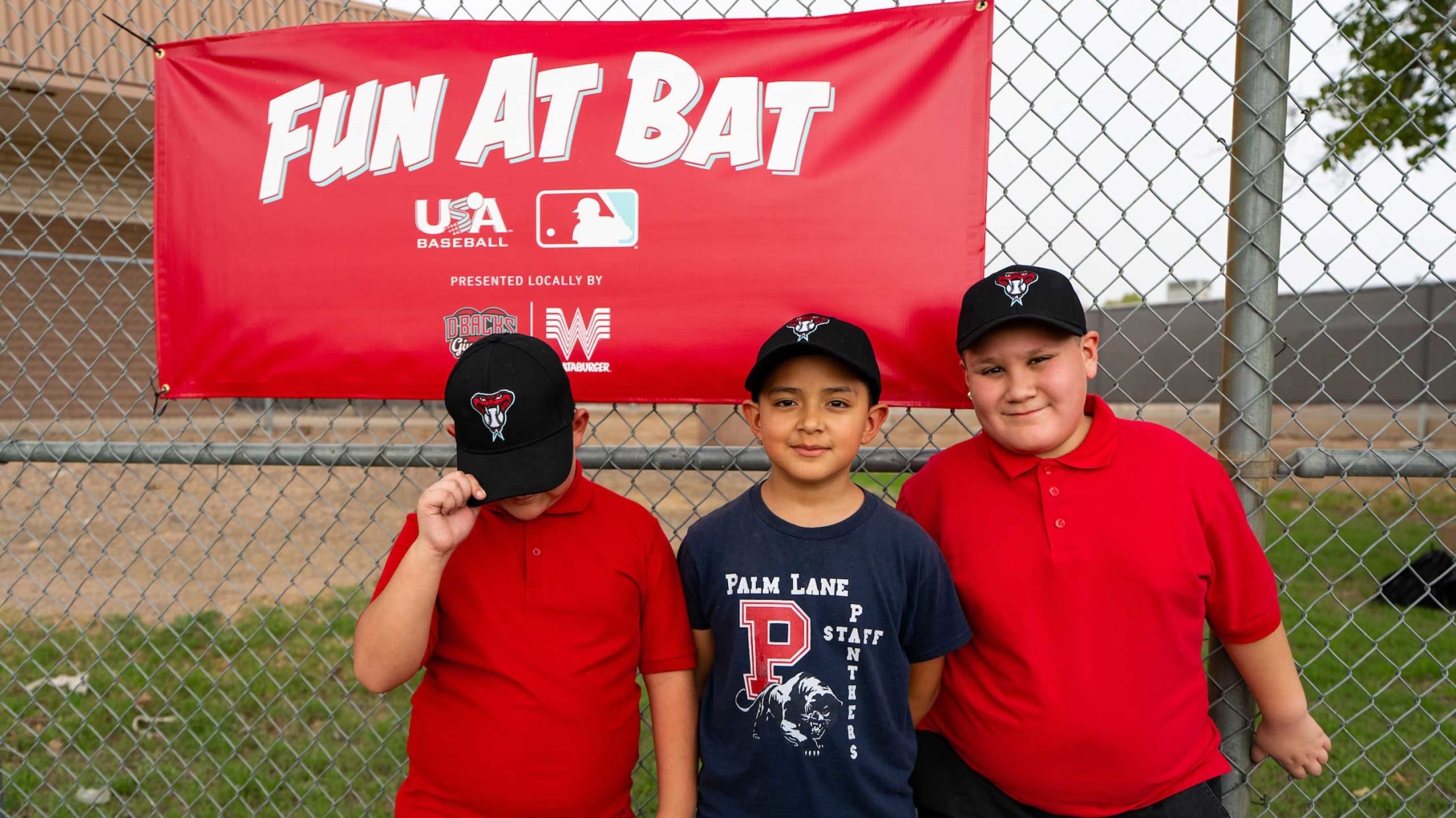 Fun at Bat | Arizona Diamondbacks