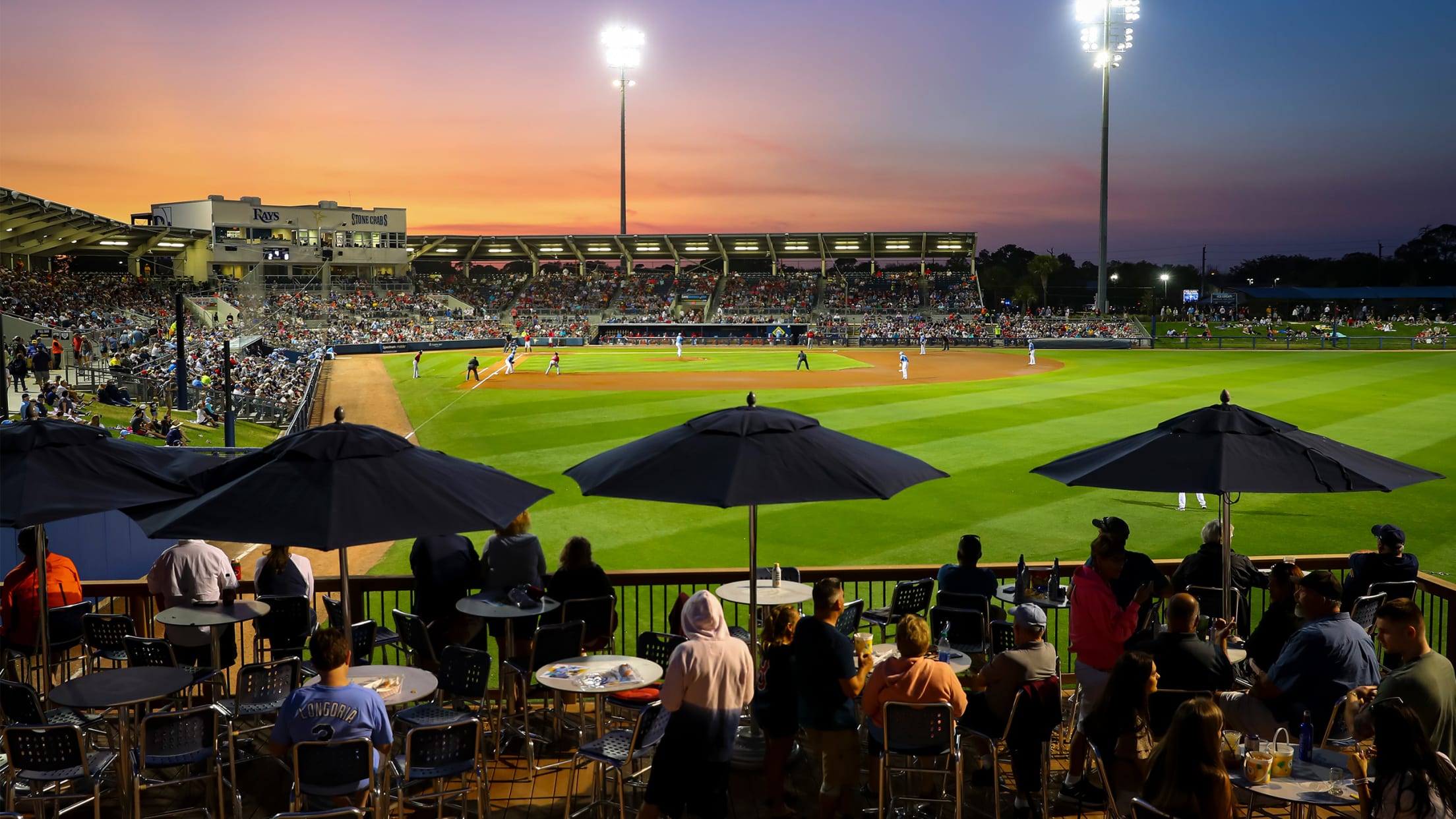 Spring Training Information | Tampa Bay Rays