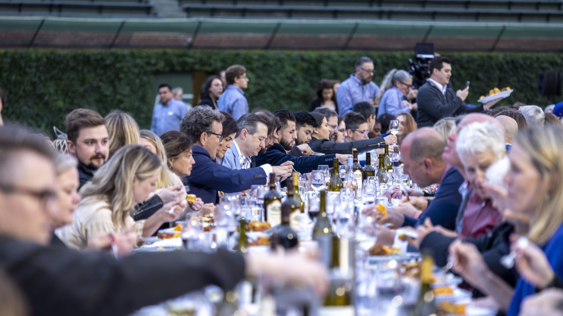 Stadium Chef Series | Minnesota Twins