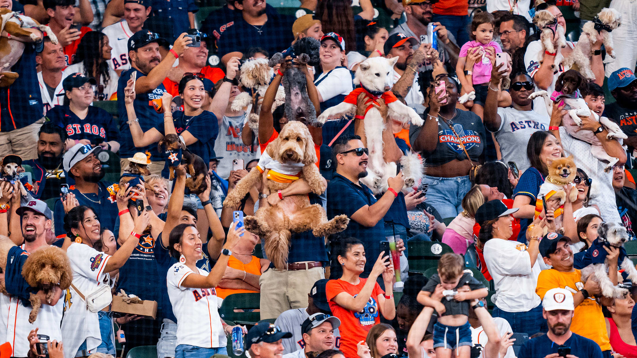 Dog Day | Houston Astros