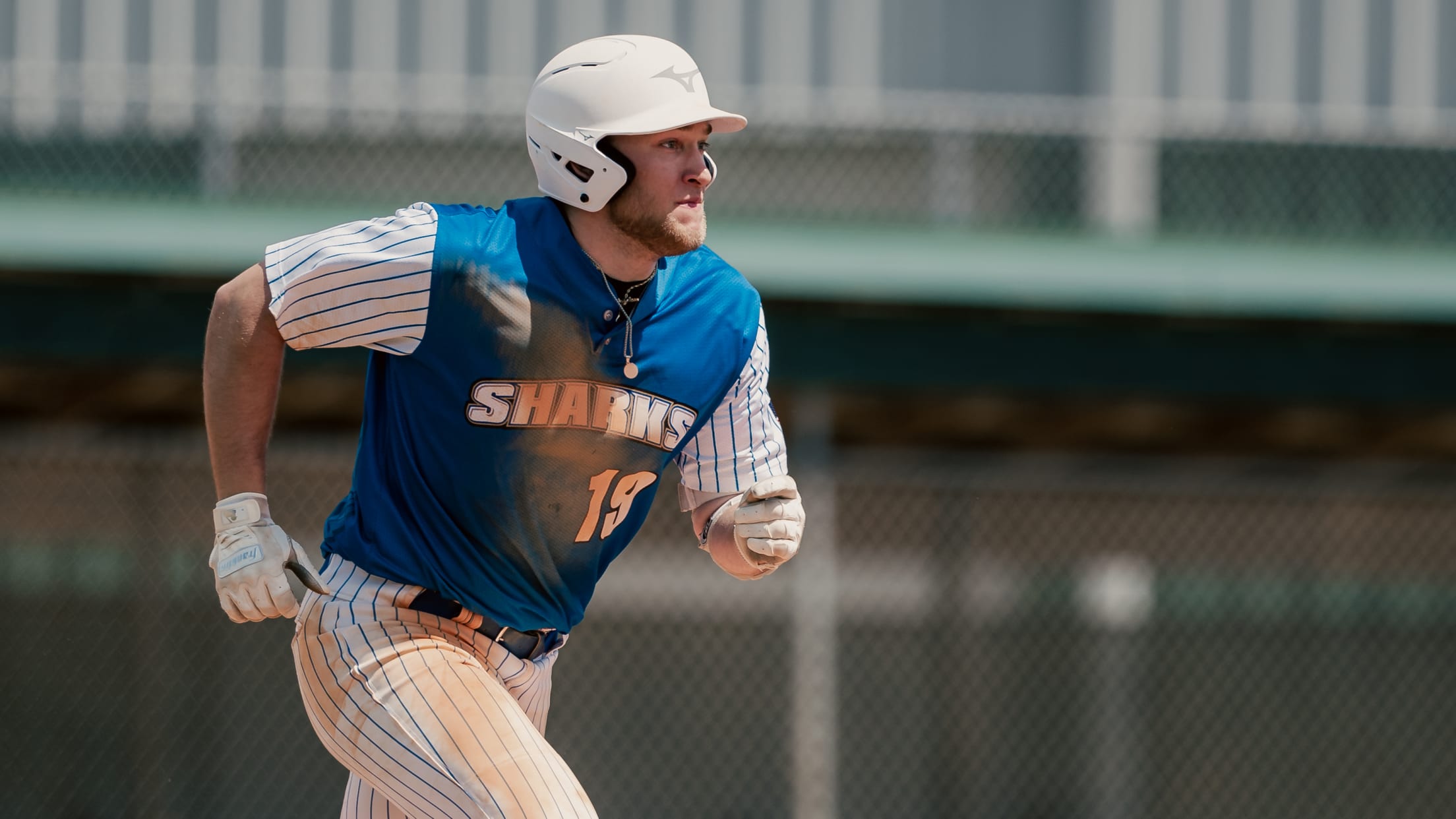 College Baseball Spring Invitational | Jackie Robinson Training Complex ...
