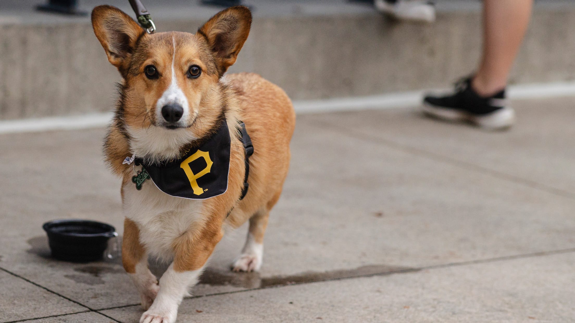 2025 Pirates Promotions | Pittsburgh Pirates
