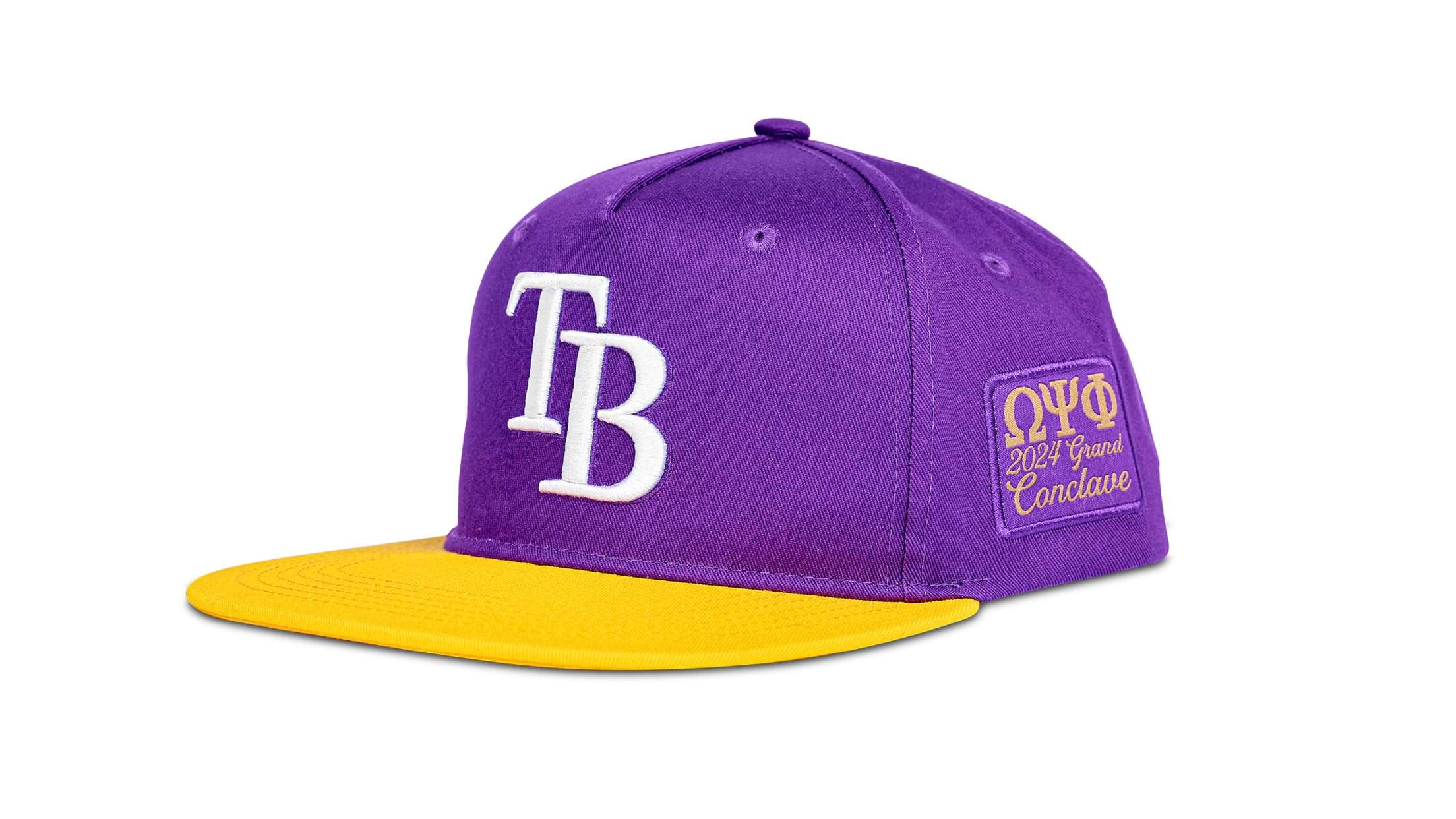 Rays Promotions Schedule 2024 | Tampa Bay Rays