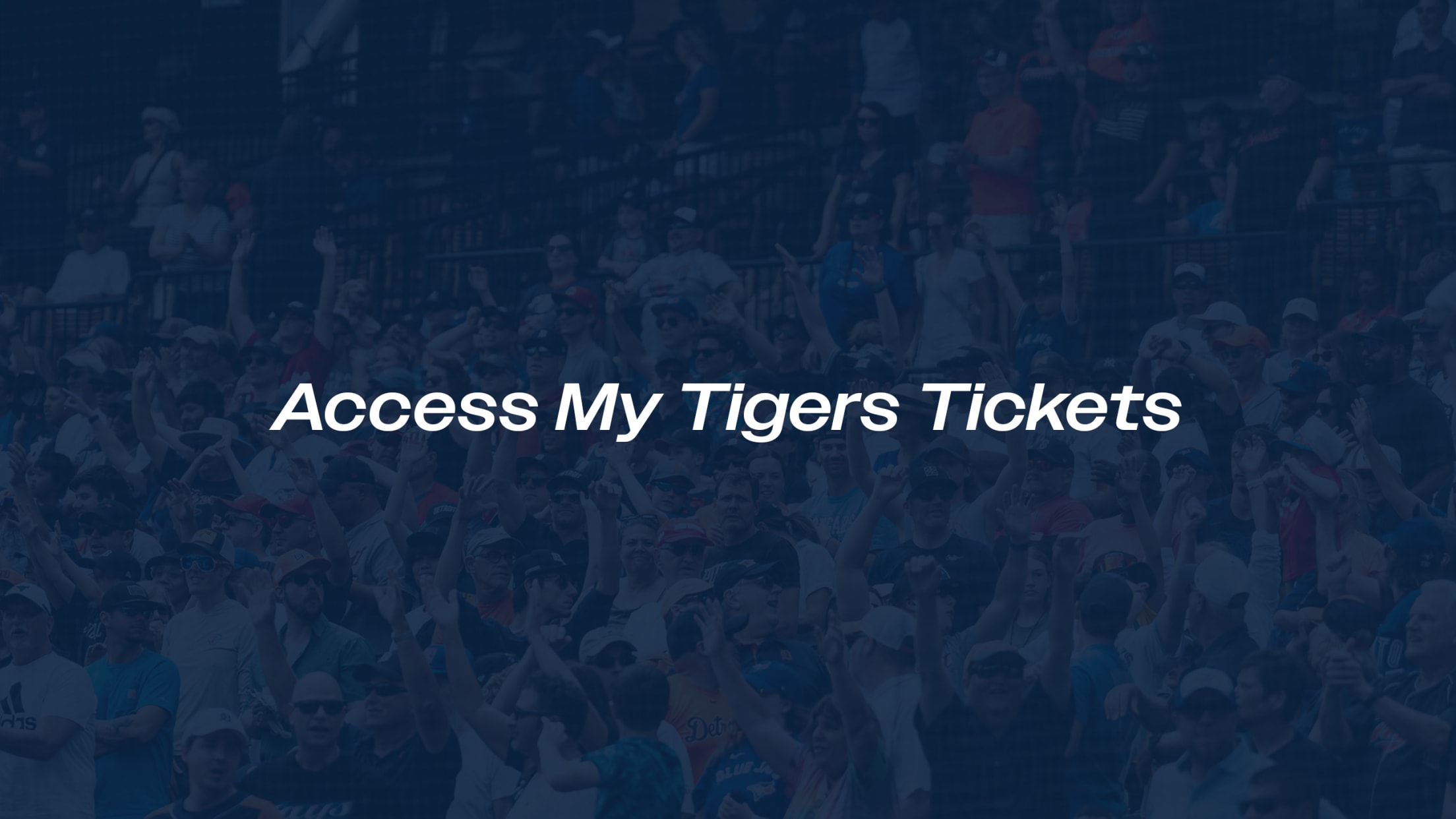 Detroit Tigers | Detroit Tigers