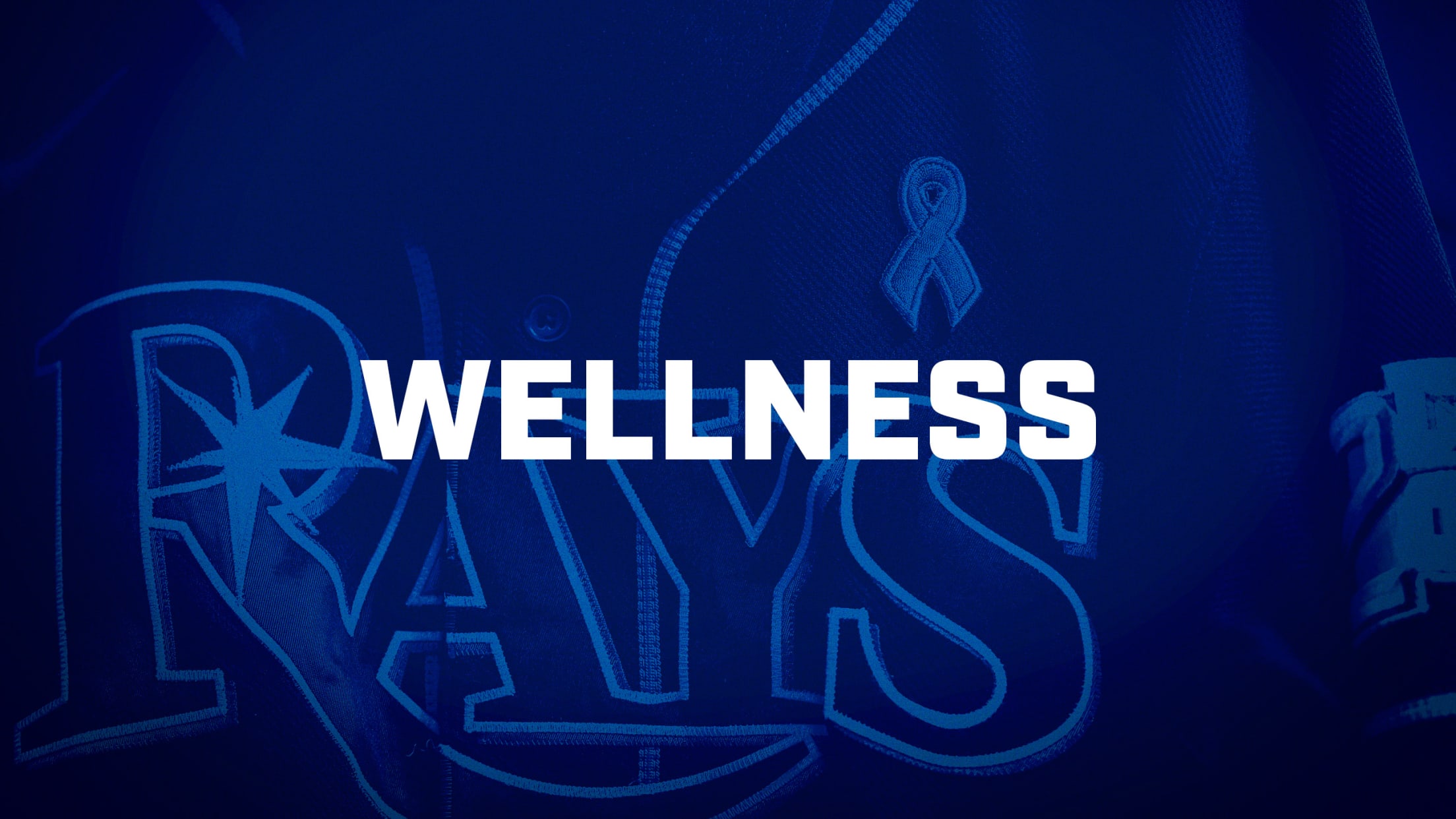 Rays in the Community | Tampa Bay Rays