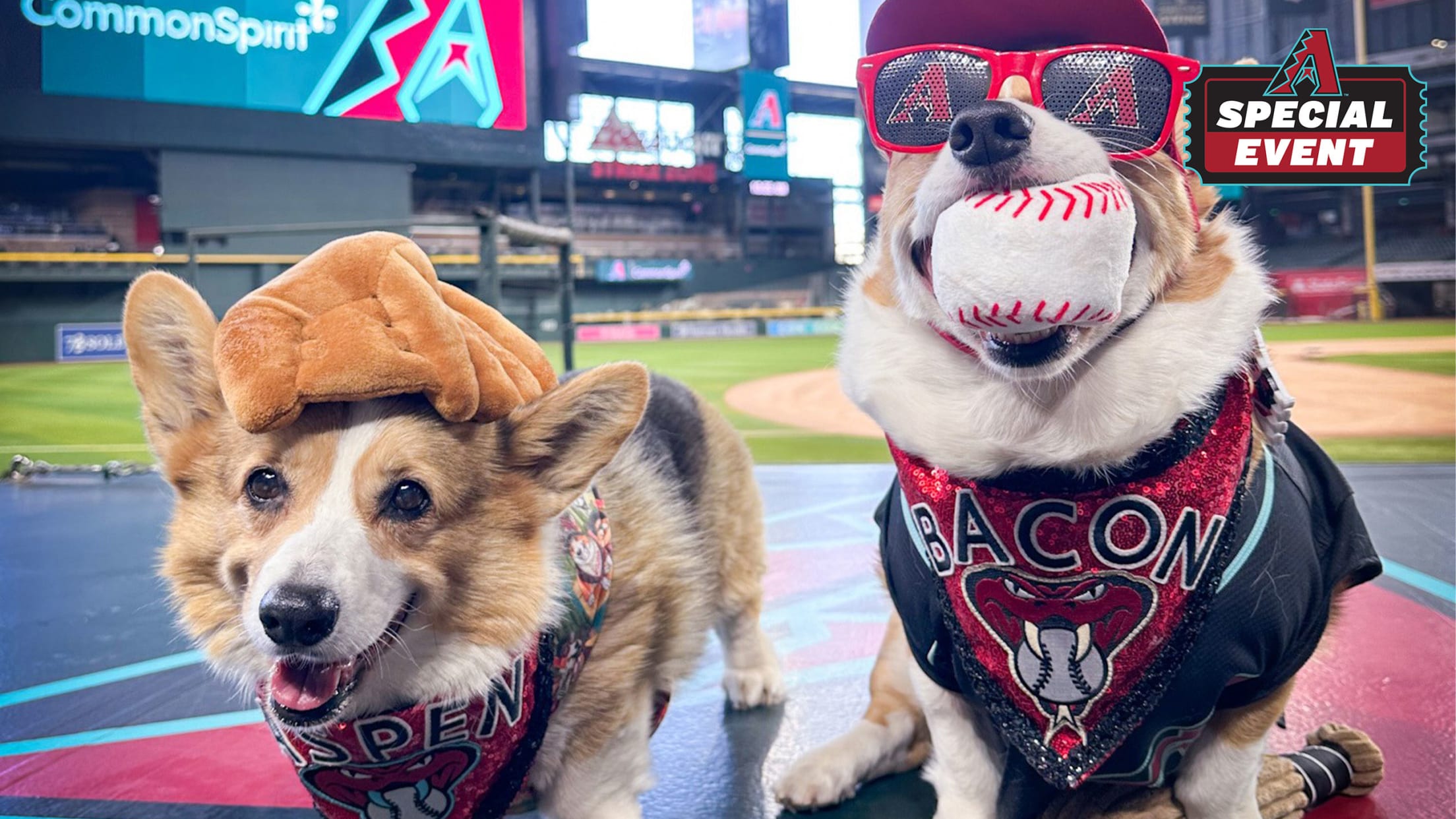 Special Events | Arizona Diamondbacks