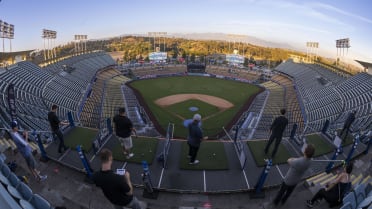 Upper Deck Golf | Los Angeles Dodgers