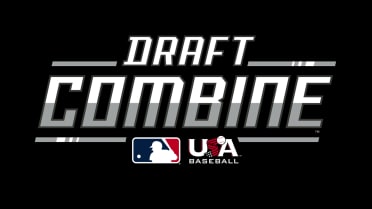 Prospect Development Pipeline | MLB.com