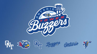 New Minor League team names and logos for 2026